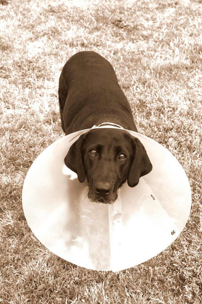 Enterprise Agreements Part 4: Good Faith Bargaining – IR Simplified